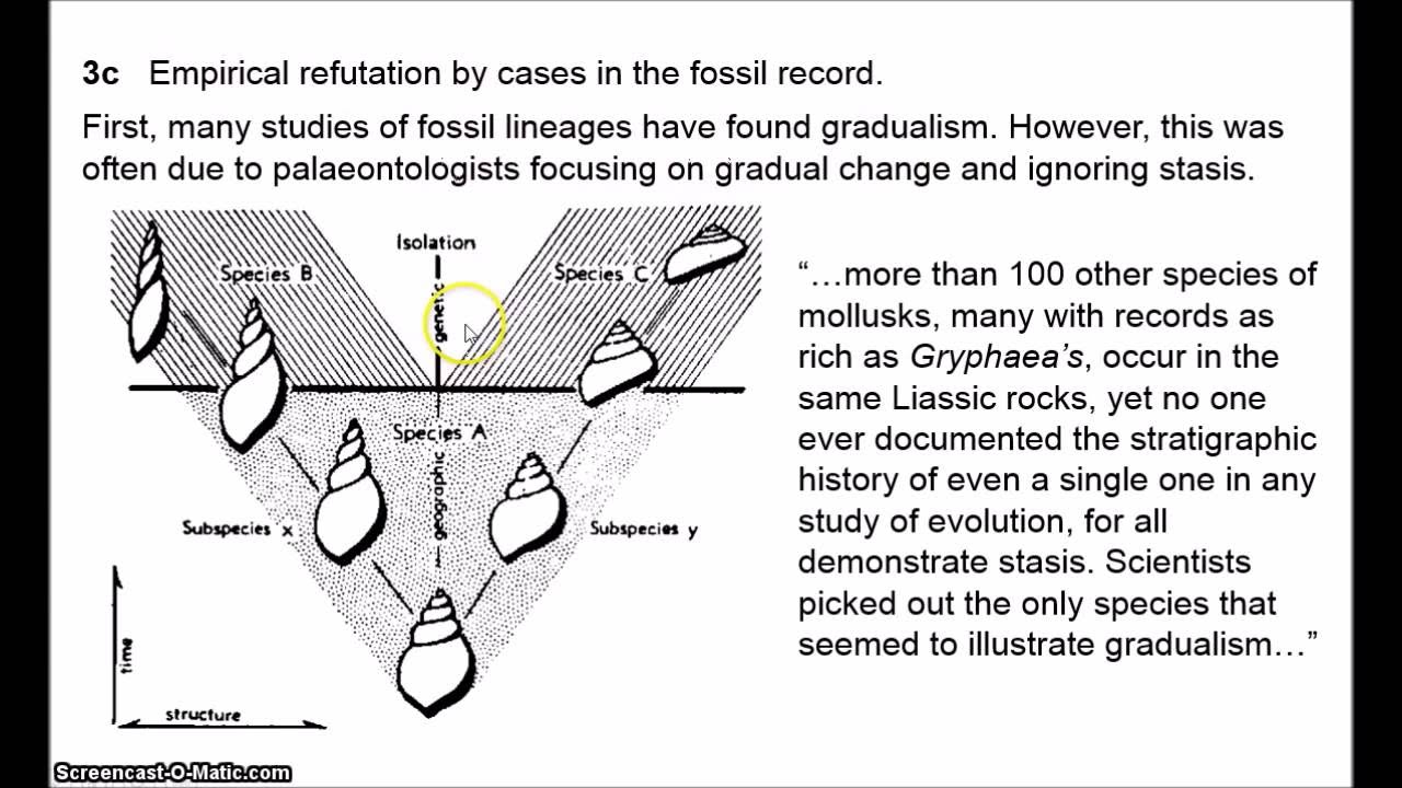 Punctuated Equilibrium 3 - Objections 2 - YouTube