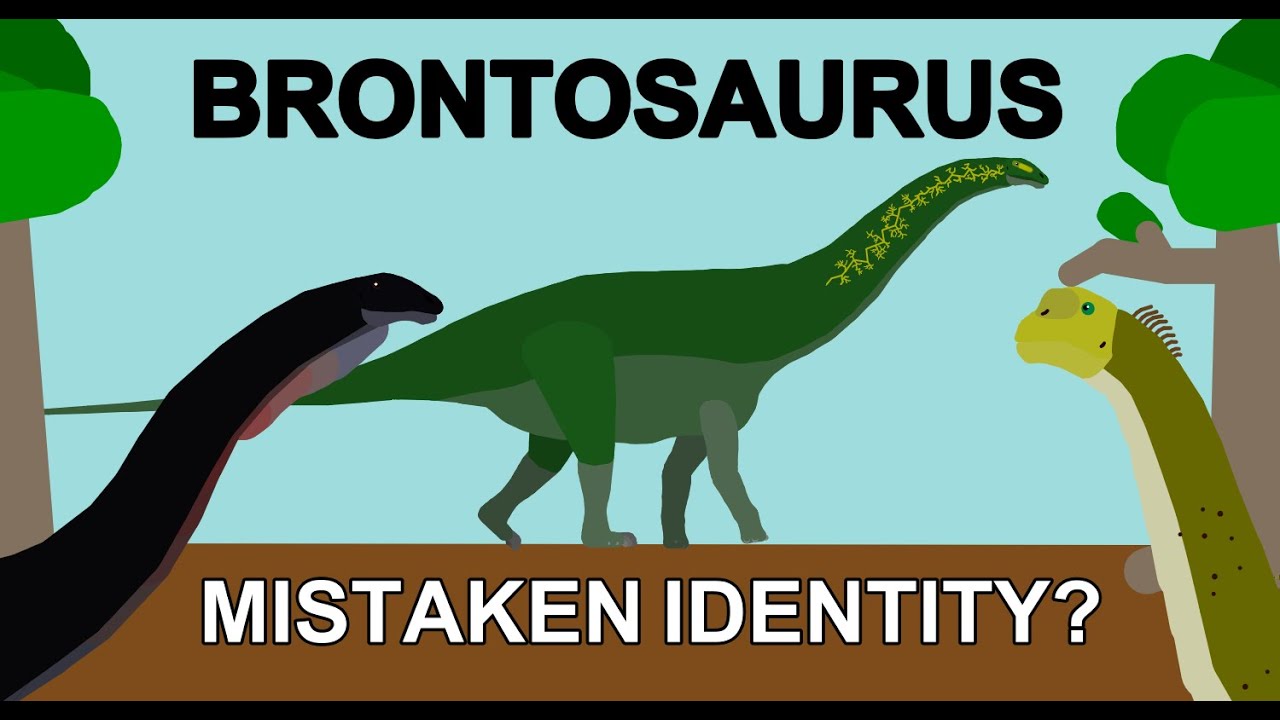 Was Brontosaurus a real dinosaur? - YouTube
