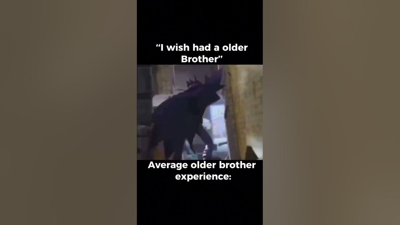 Average older brother experience - YouTube