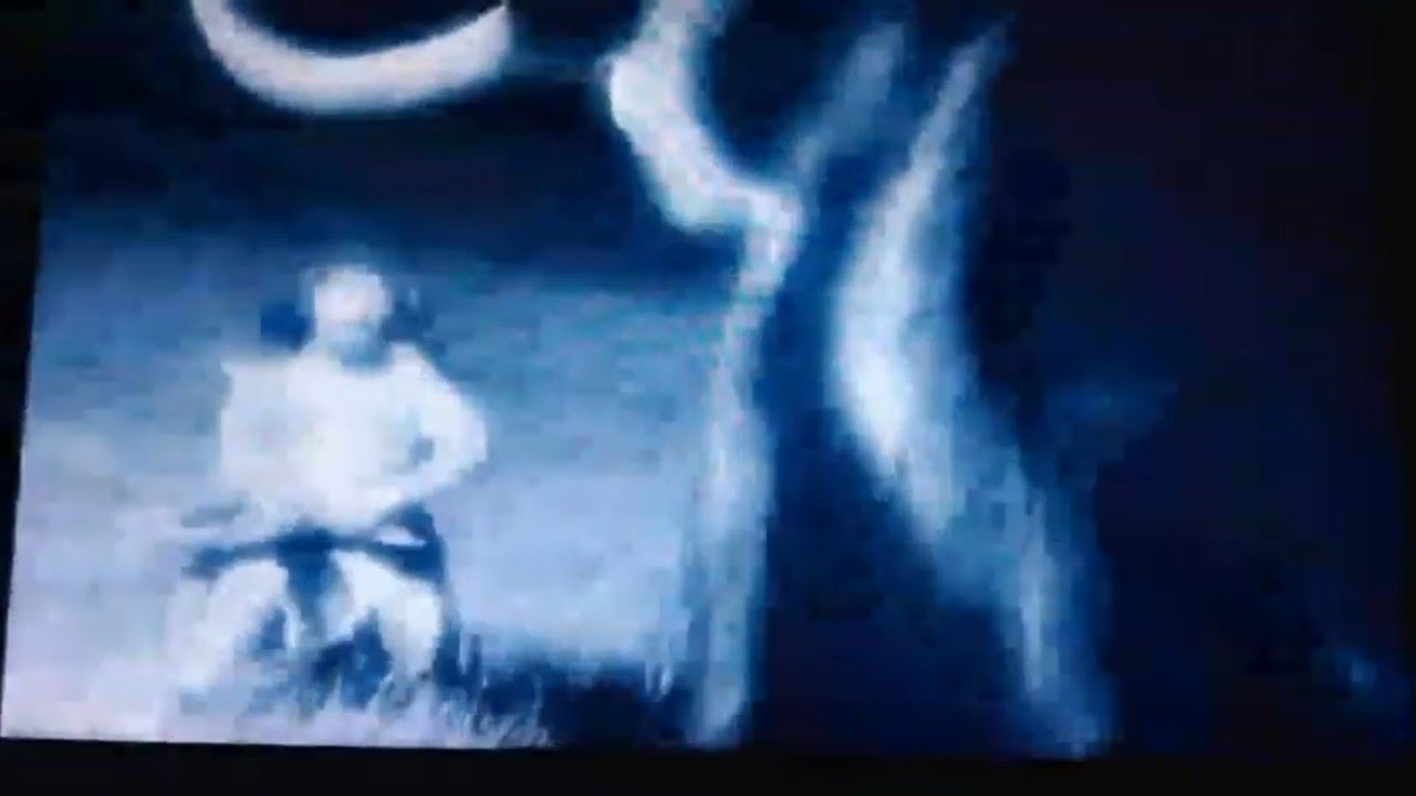 Walking with beasts mammoth Journey part 10 Neanderthal hunt - YouTube