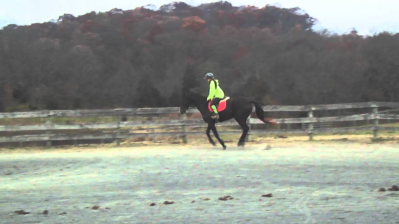 Canter Frame - YouTube