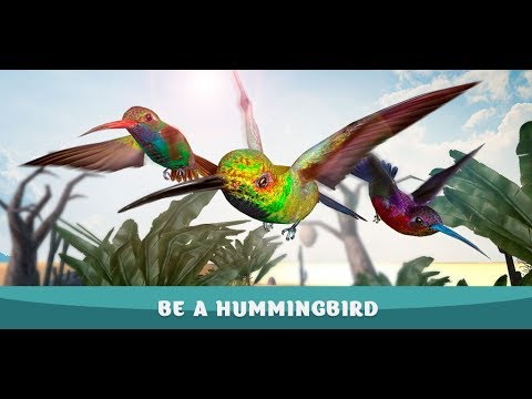 Humming Bird Simulator - Tiny Bird Adventure Gameplay Video Android/iOS ...