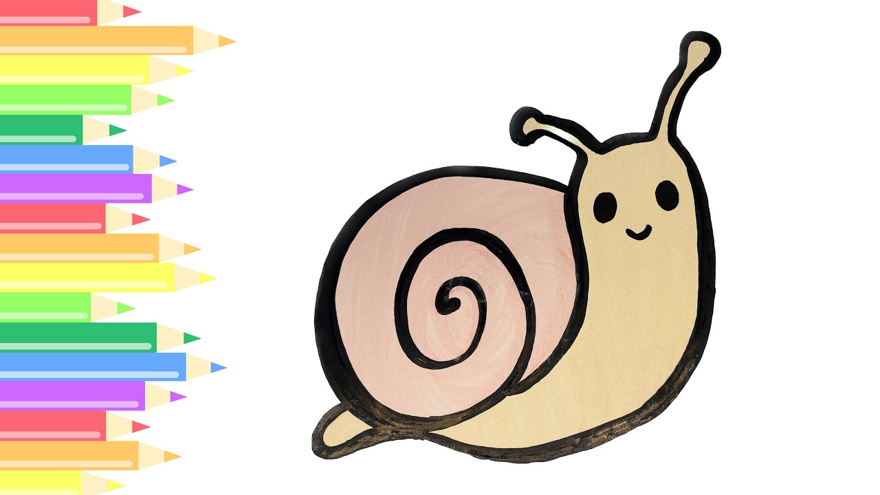 HOW TO DRAW A SNAIL STEP BY STEP / DRAWING AND COLORING - YouTube