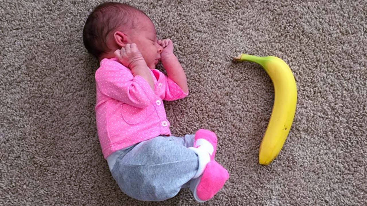 Adorable Moment ! Tinny Baby Will Make You Say Aww ! Funny Baby Videos ...