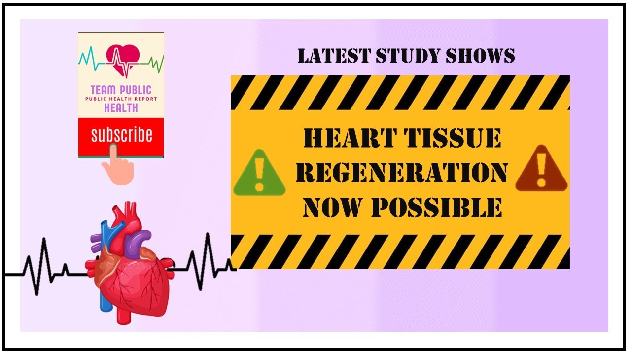 Heart Regeneration: Shockwave Therapy Revolutionizes Post-Bypass ...