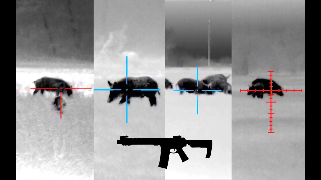 Hunting Texas Pigs with Thermal Scopes and ARs at night - YouTube