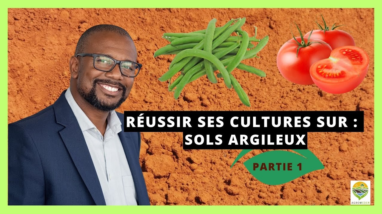 Culture sur sols argileux : Conseils pratiques (partie 1/3) - YouTube