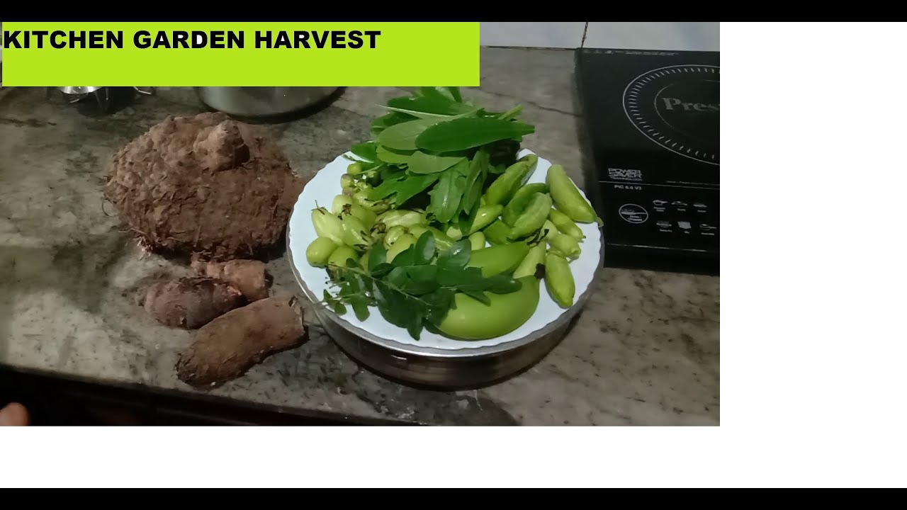 KITCHEN GARDEN TOUR - YouTube