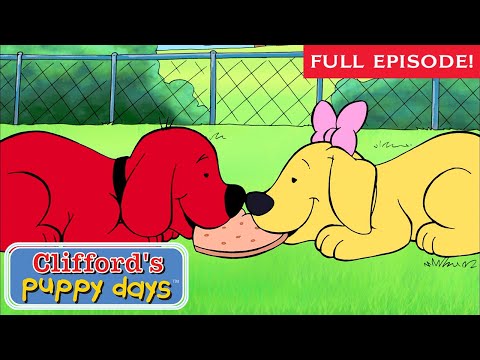 Your Secret Valentine | Perfect Pet | Full Episode | Clifford's Puppy Days | Scholastic Classic