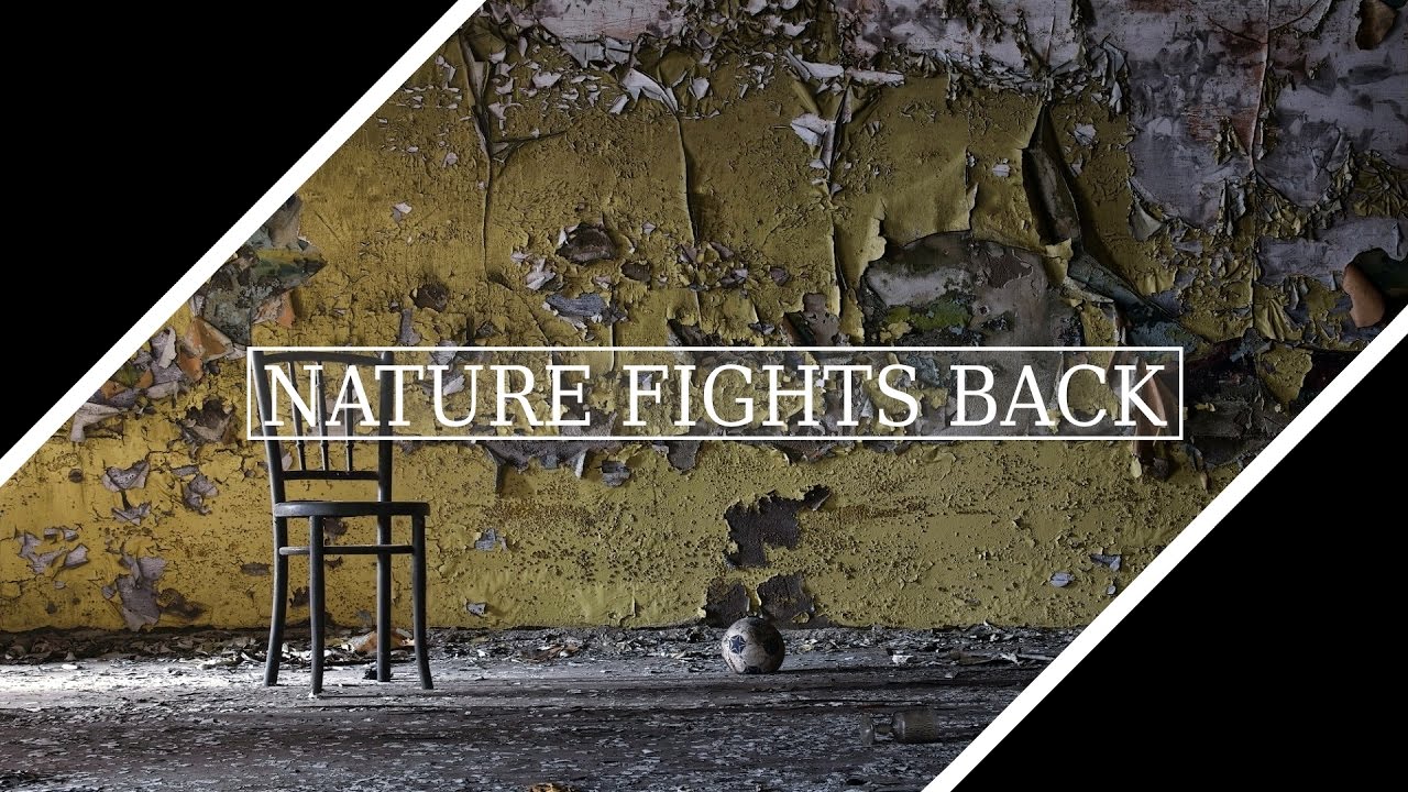 NATURE FIGHTS BACK - Fabian's Blog - YouTube