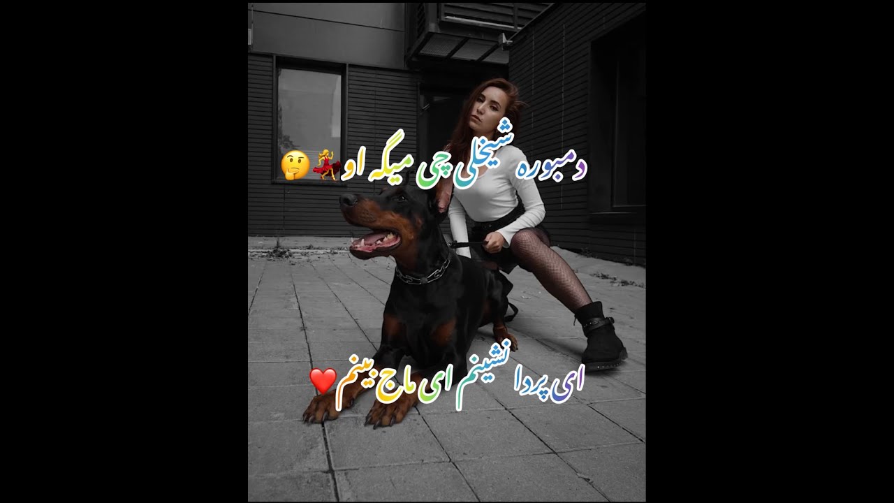 دمبوره غلام حیدر شیخلی وای وای چی میگه دمبوره Afghanlove Music