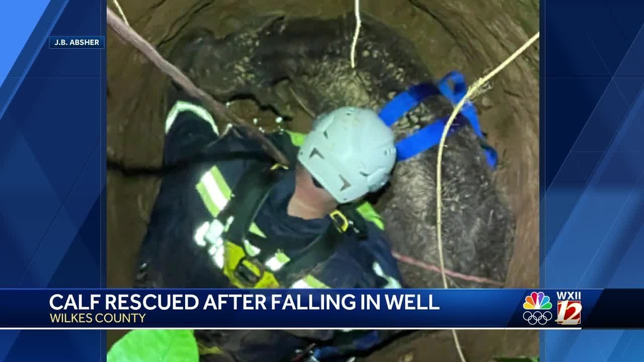 Wilkes County crews rescue calf after falling 25 feet in well - YouTube