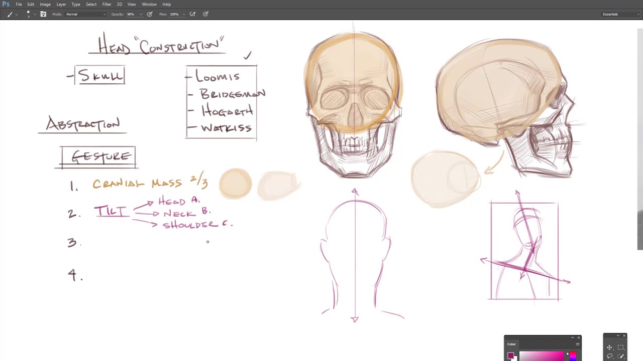 Head Drawing, Part 1: Gesture and Construction - YouTube