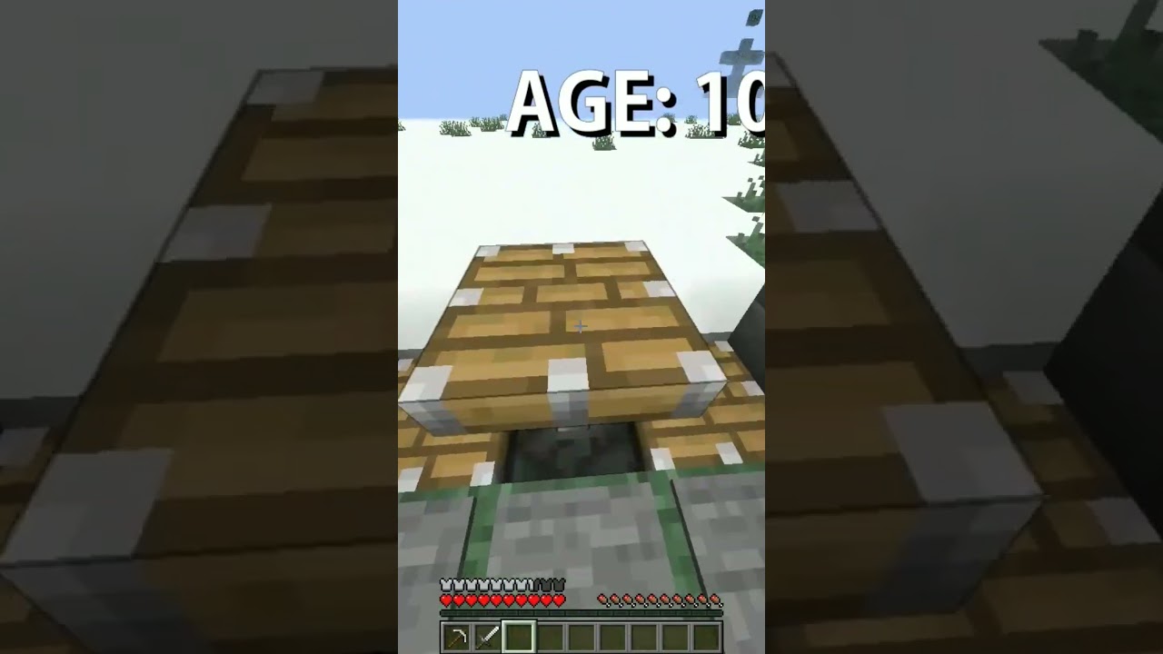 Minecraft traps different ages - YouTube