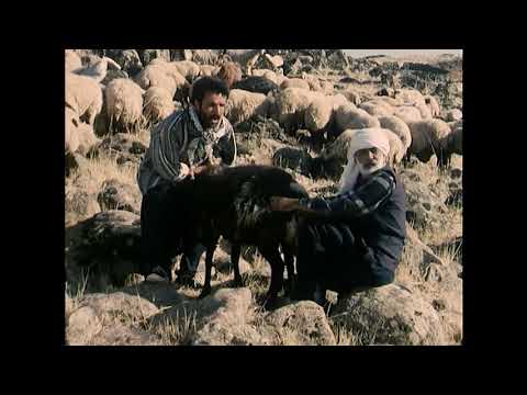 Sınır (Gani Rüzgar Şavata) | Kanlı Mesaj - Ölümden Beter