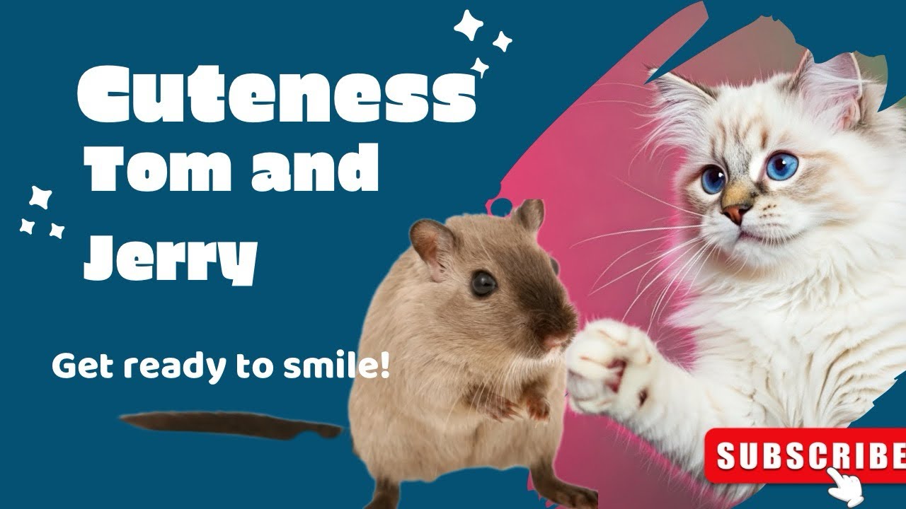 Cats' hobbies are usually daily activities with their friends. - YouTube