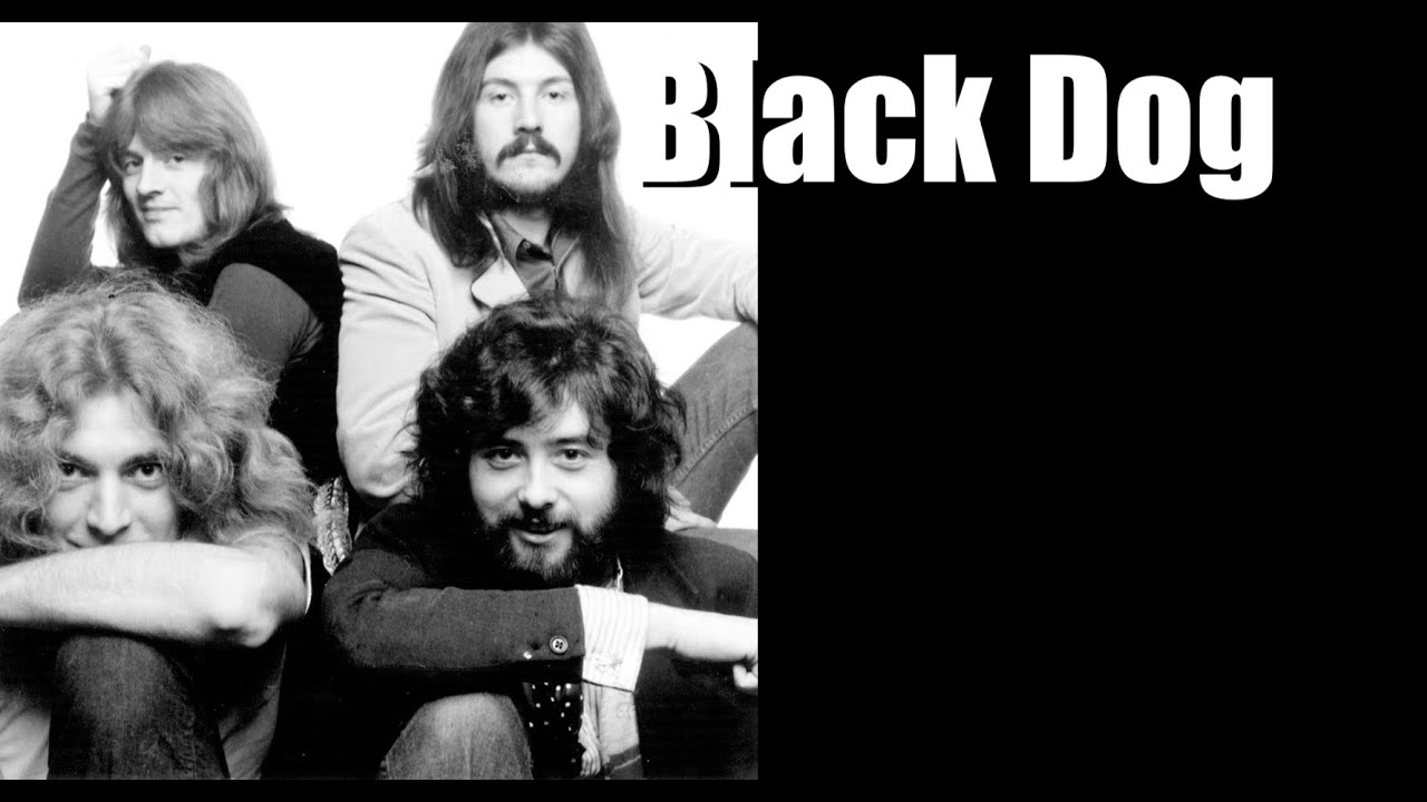Black Dog backing track - YouTube