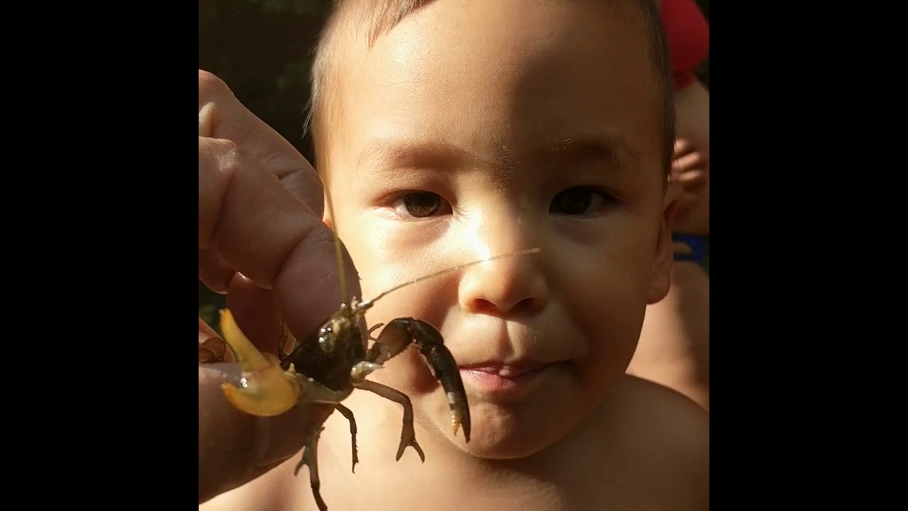 CATCHING and COOKING Crawdads with the kids! - YouTube