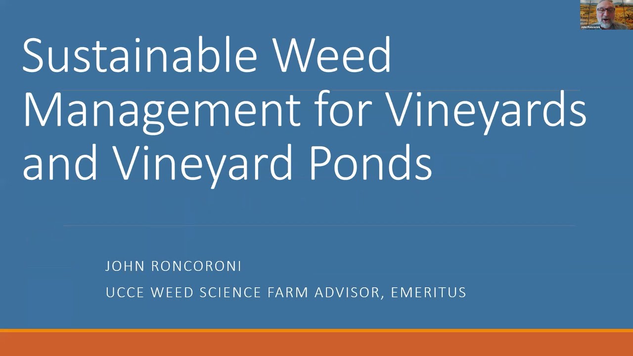 26th IPM Seminar #1: Sustainable Weed Management for Vineyards ...