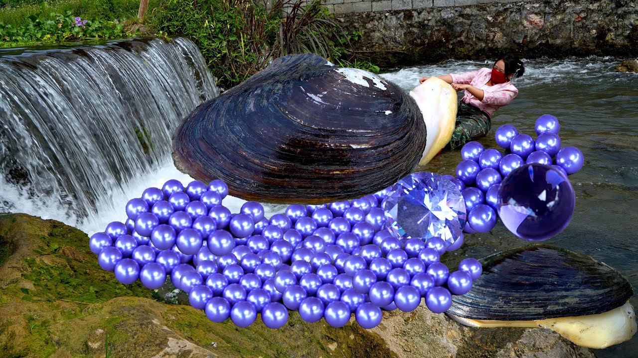 😱🎁Pry open the giant clam, which is embedded with countless blue pearls ...