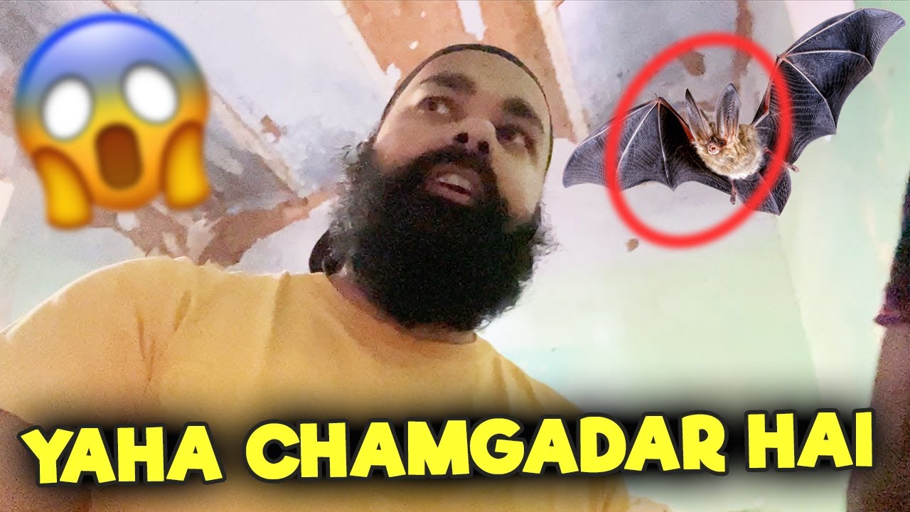 Visiting A Haunted Place In Haryana 😱 - YouTube