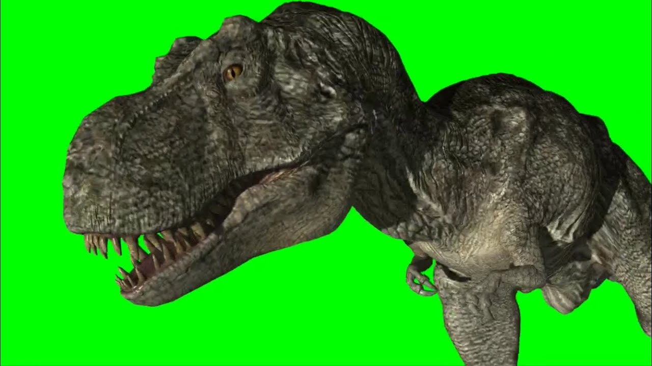 Green Screen T-Rex 4 / T-Rex running / walking in place - YouTube