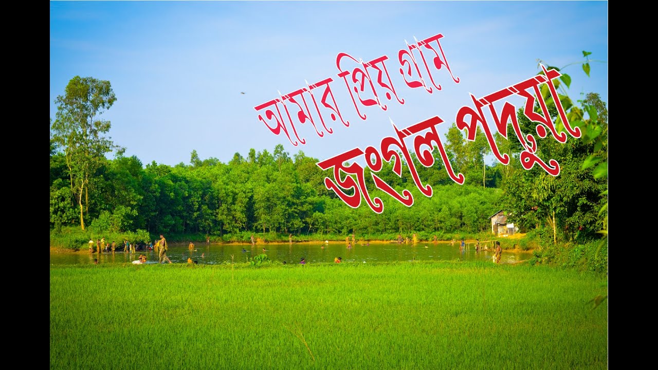 আমার প্রিয় গ্রাম।। Jungle Padua, Lohagara, Chattogram - YouTube