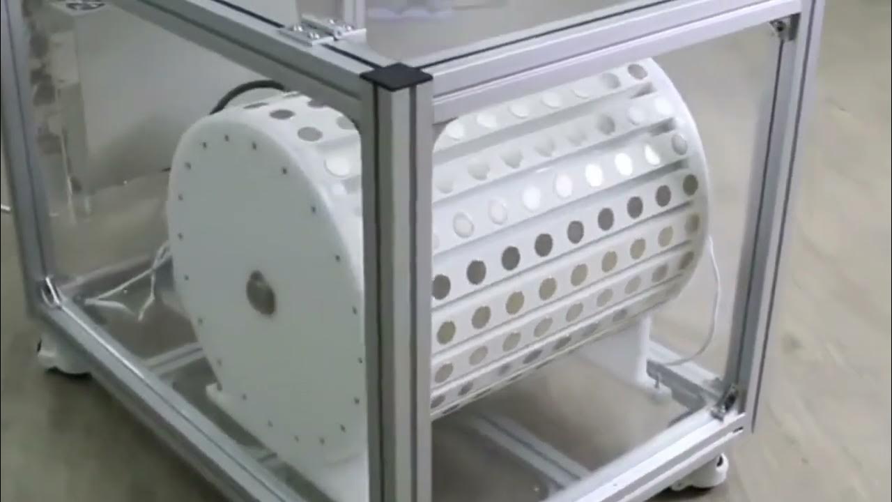 free energy - YouTube