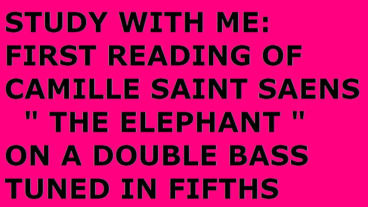 STUDY WITH ME: FIRST READING OF CAMILLE SAINT SAENS "THE ELEPHANT" ON A ...
