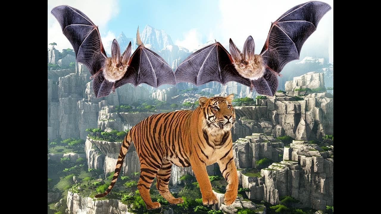 TIGERS AND BATS IN ARK!!(ark) - YouTube