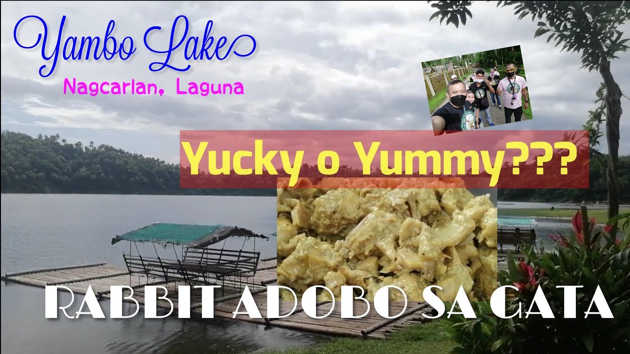 RABBIT ADOBO SA GATA FREE TASTING SA LAKE YAMBO: POP OR FLOP? YUCKY OR ...