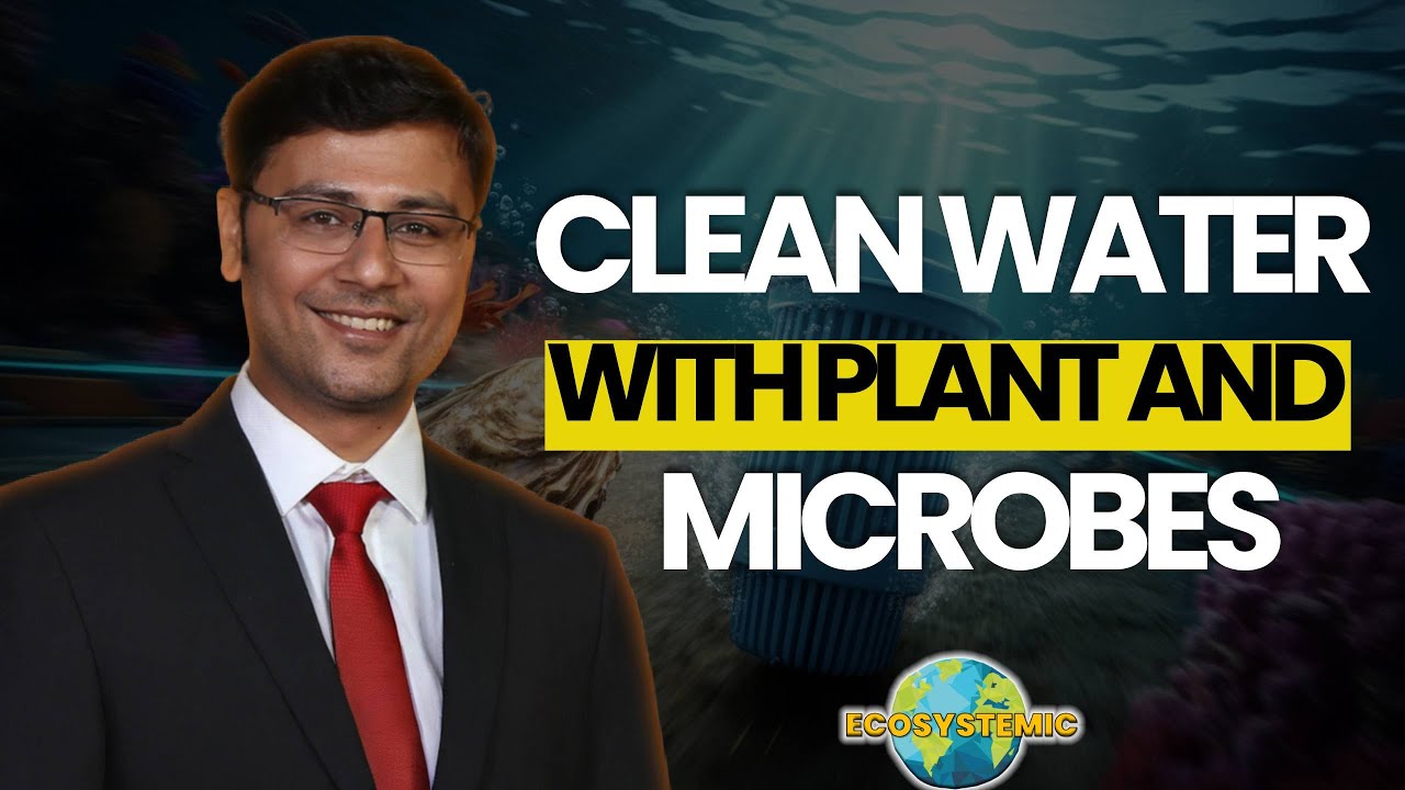 He cleaned 2 BILLION LITERS of water without chemicals 🚰 | Ecosystemic ...
