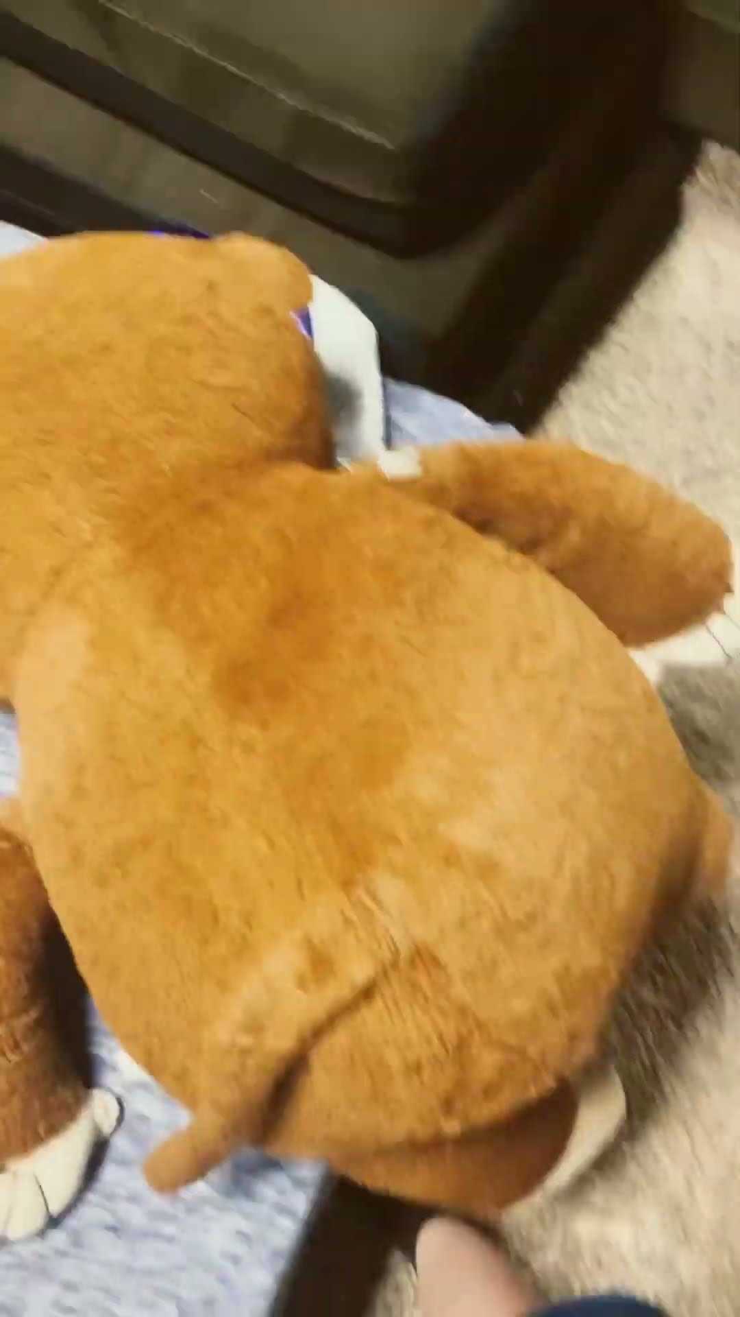 Dap up the homies ⁠@Chaoticmonjey - YouTube