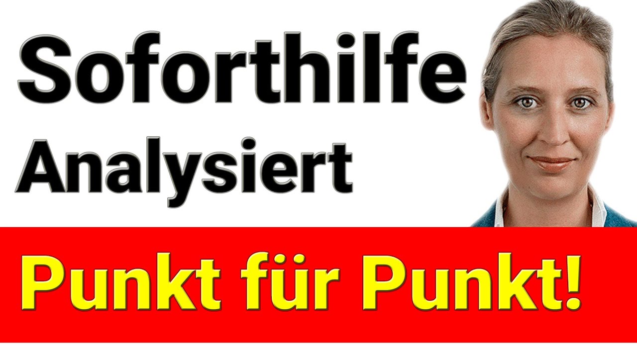 AFD Sofortprogramm Kritisch analysiert - Welche Punkte sind sinnvoll ...