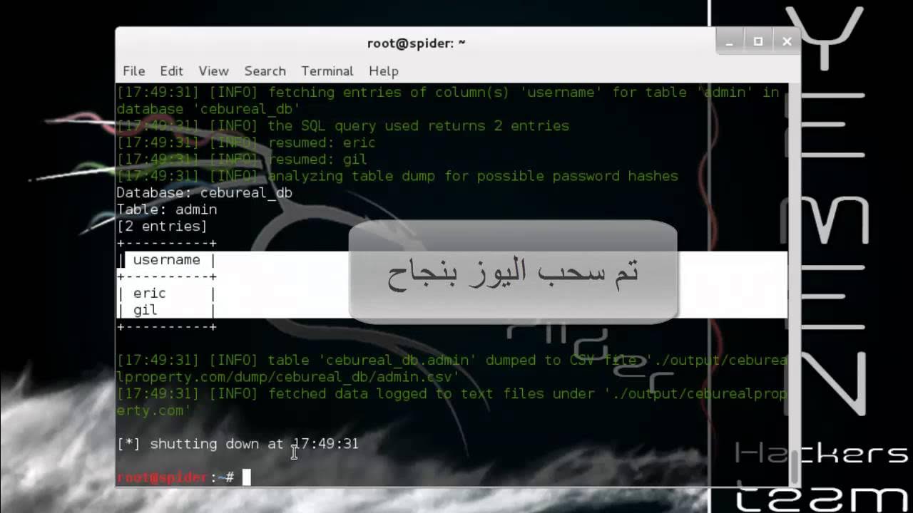 SQL injection with kali Linux - YouTube