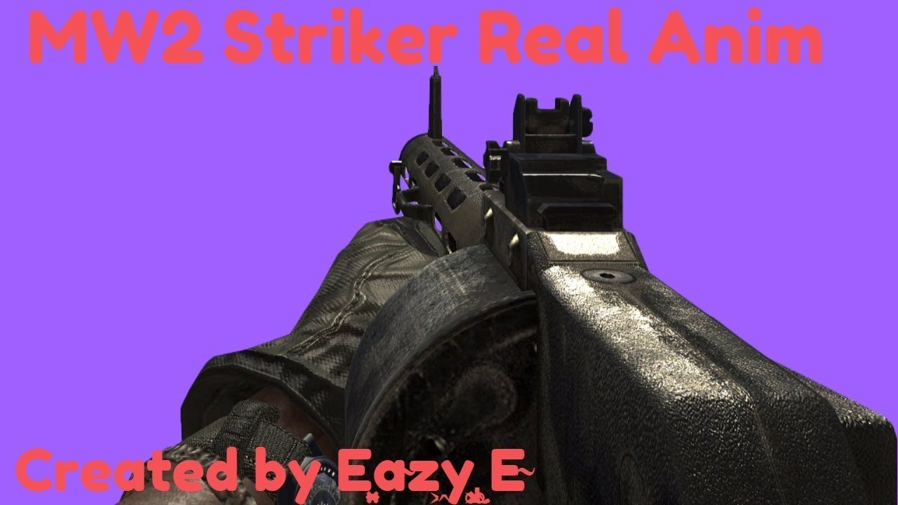 L4D2 Workshop Showcase: MW2 Striker Real Anim - YouTube