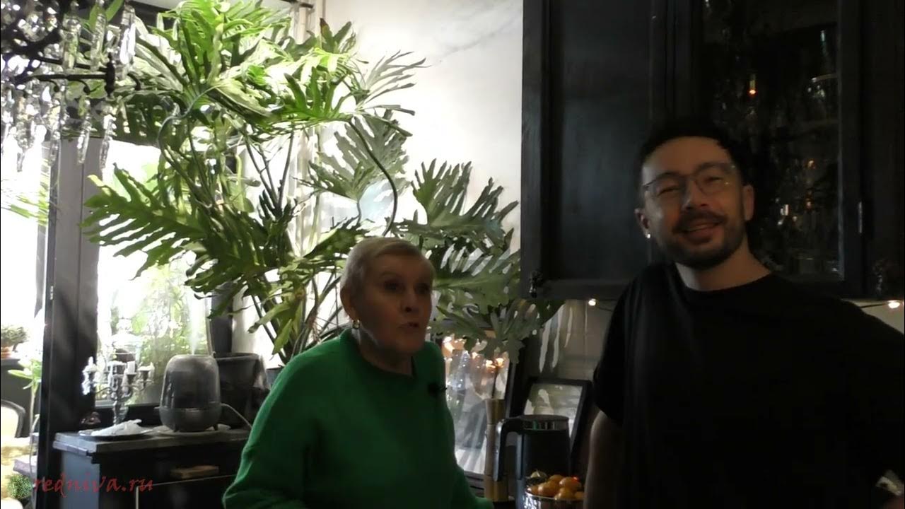 Растения в квартире. В гостях у Сергея Трофимова. - YouTube
