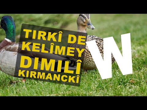 Dimili, Zazaca, Kirmancki’den Türkçe’ye Geçen Sözcüklerin Karşılıkları