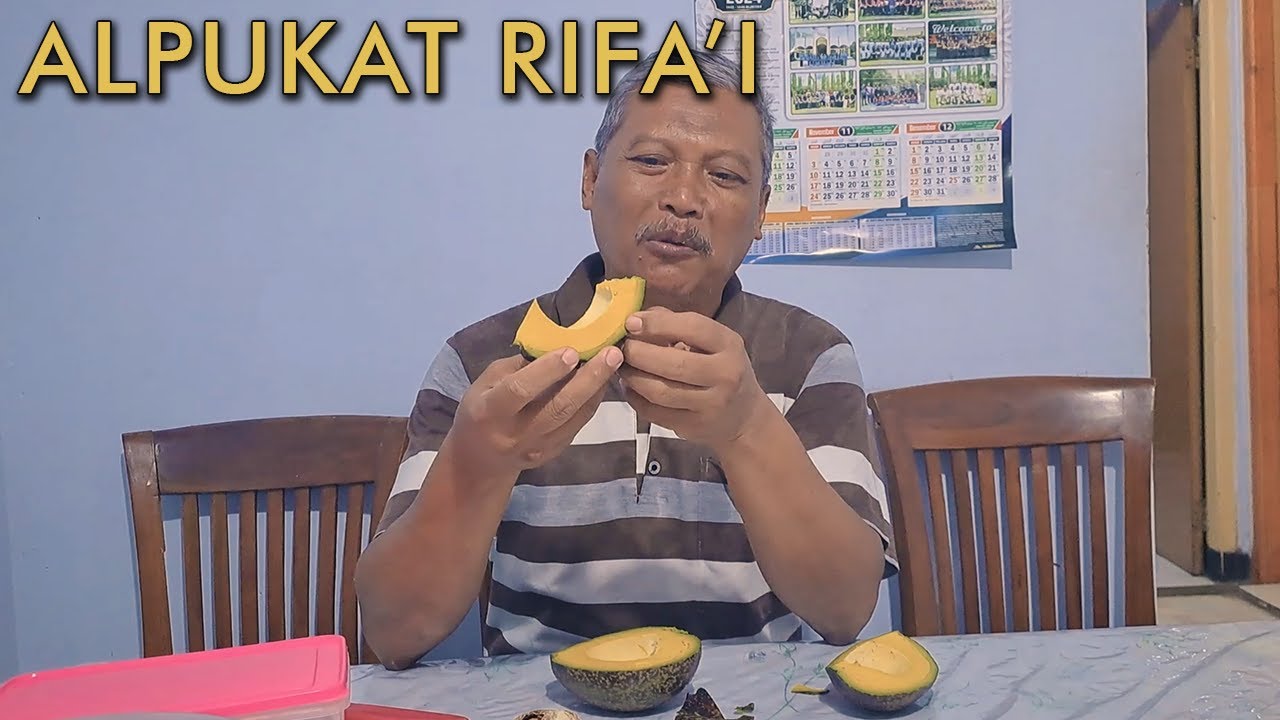 Alpukat Rifa'i Kebun Alpukat Ecofarm - YouTube