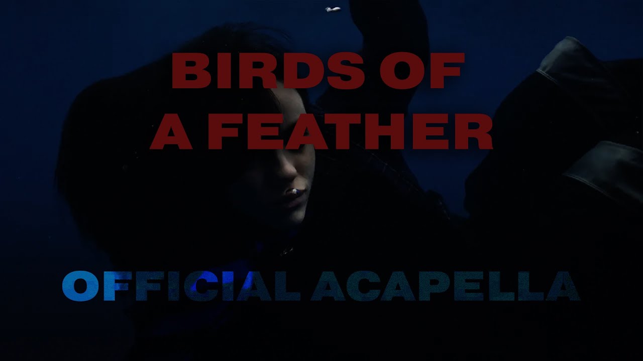 Billie Eilish - BIRDS OF A FEATHER (Official Acapella) - YouTube