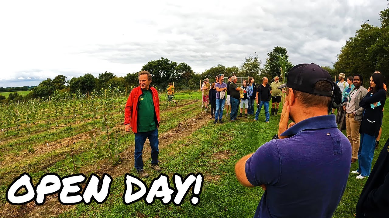 OPEN DAY ON THE FARM! | EID TAGS FOR CALVES! | JM Farming | The Content ...