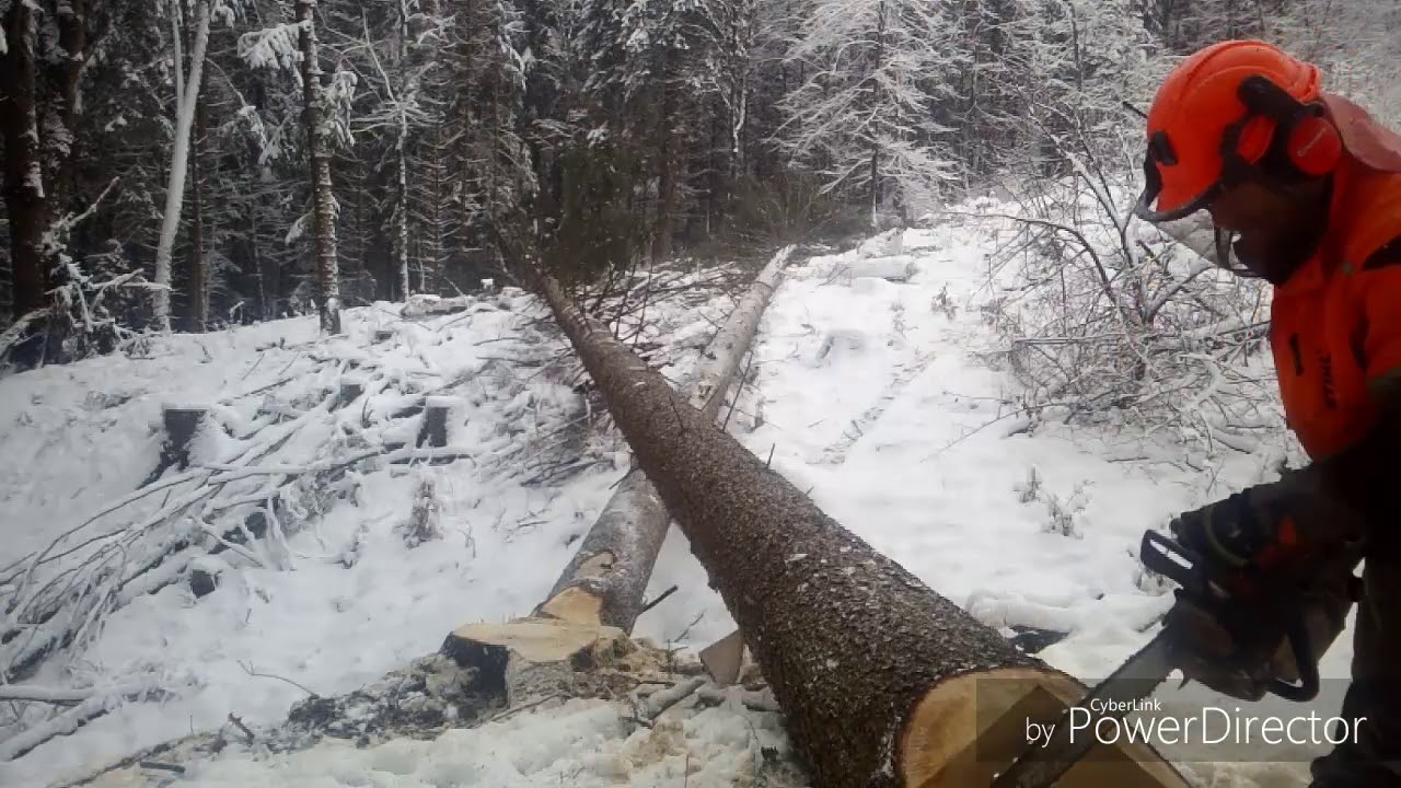 Working in forest, 60-2019, Im wald arbeiten, Práce v lese 🇨🇿 - YouTube