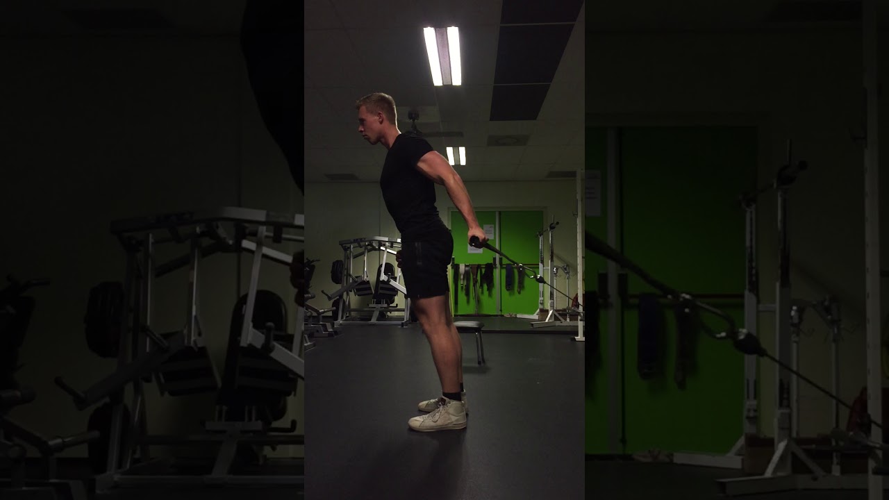 Bayesian Curl - YouTube