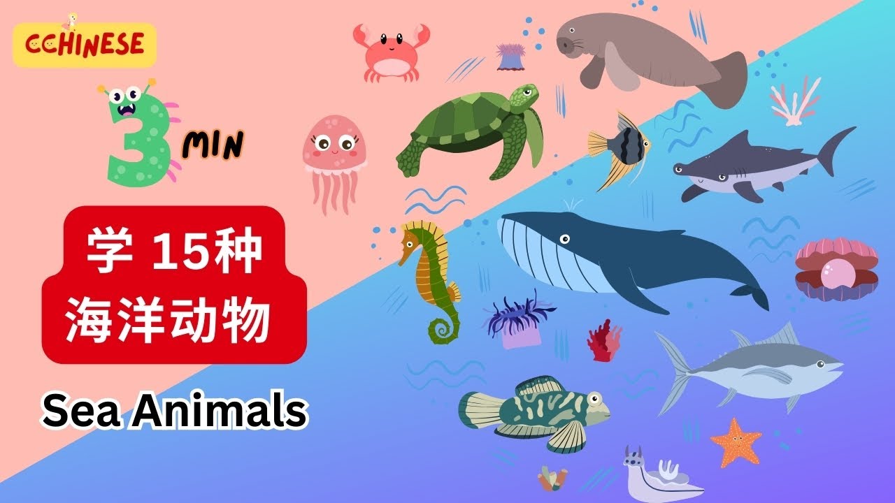 1分钟 中文课堂｜Sea Animals in Chinese 2025｜学 海洋动物｜認識動物｜中文 动画 - YouTube