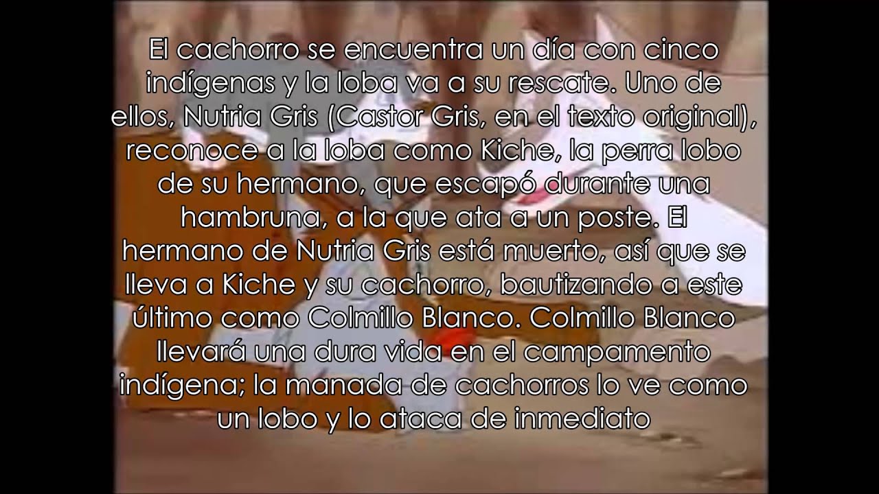 Resumen Del Libro Blanco - prestamos express remate