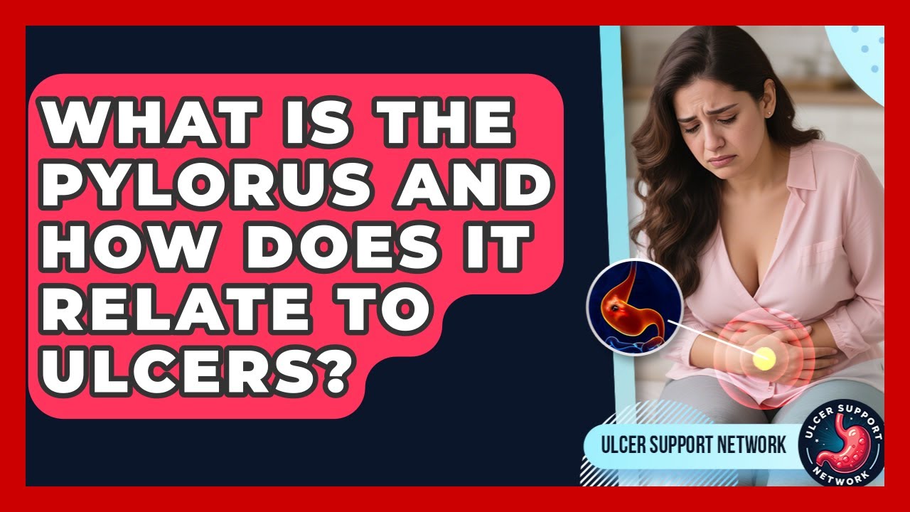 What Is The Pylorus And How Does It Relate To Ulcers? - Ulcer Support ...
