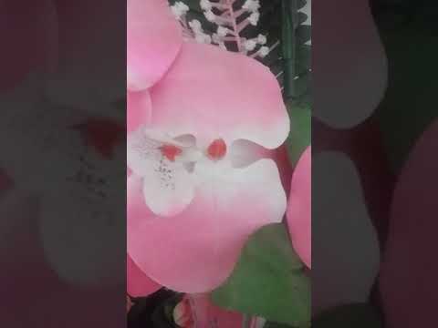 ~GİTME NE OLUR ~SÖZ MELODİ YORUM, GÜNAY EKRAN.. SEVGİLERLE