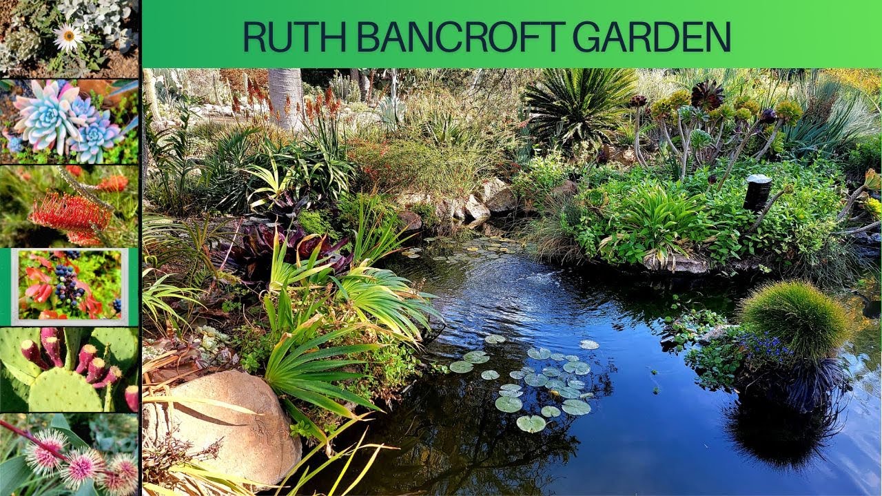 Ruth Bancroft Garden Tour/ Walnut Creek - YouTube
