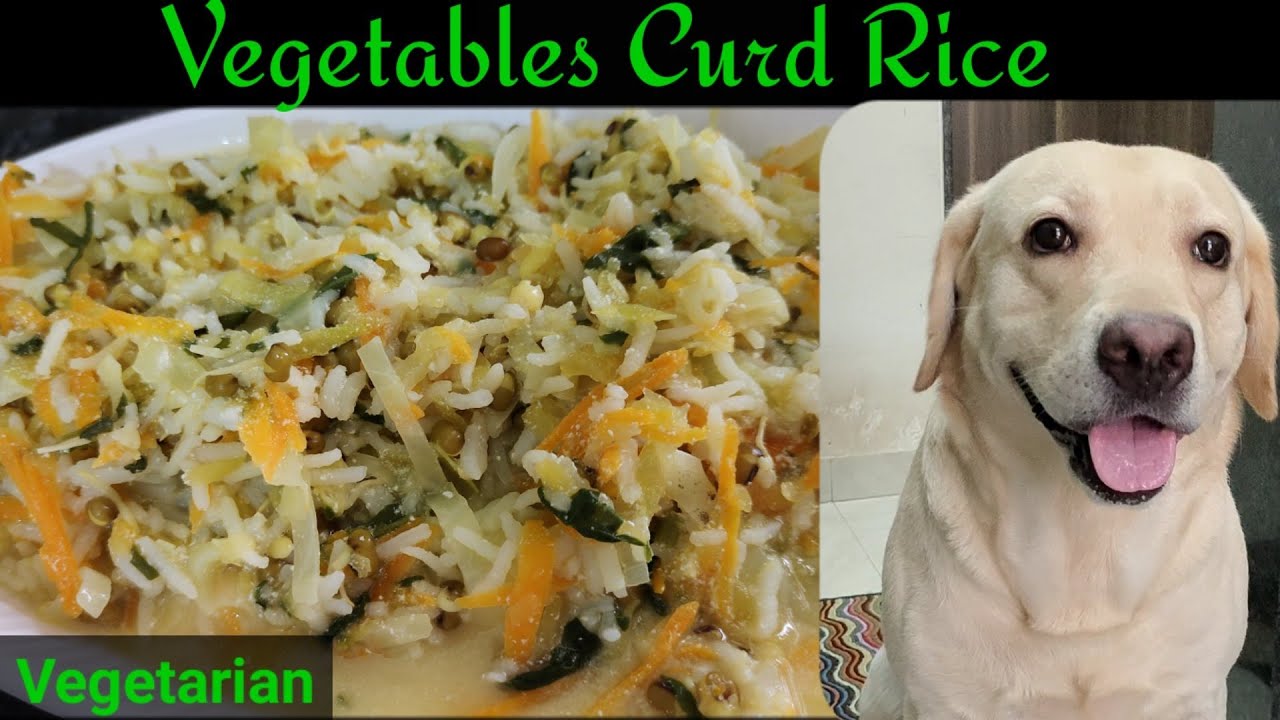 Simple & Healthy Vegetarian Lunch for my dear dog. Vegetables Curd Rice ...