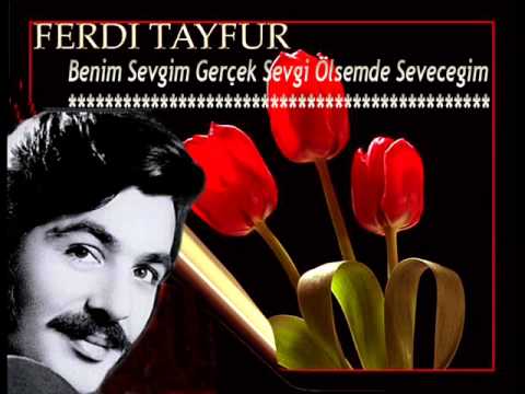 YAPRAK TAYFUR MUHTACETME BENİ